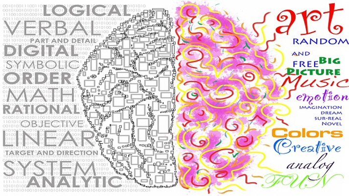 How the two halfs of our brain work - when not connected - Crafty ...